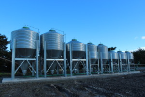 Cosgrove Silos - Dan Cosgrove