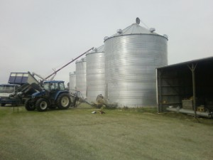 Cosgrove Silos - Dan Cosgrove